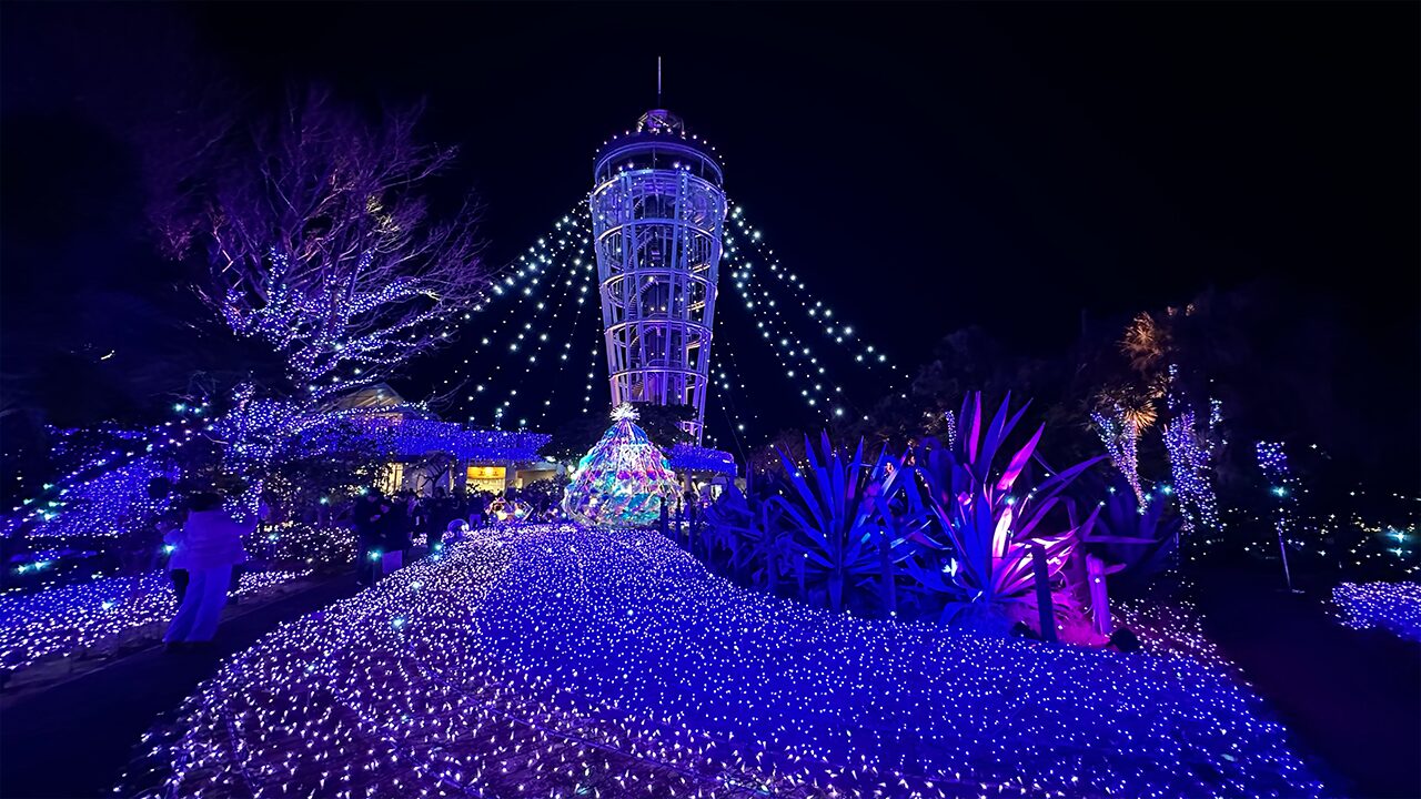 Shonan Winter Illumination “Shonan no Hoseki 2025” Held!